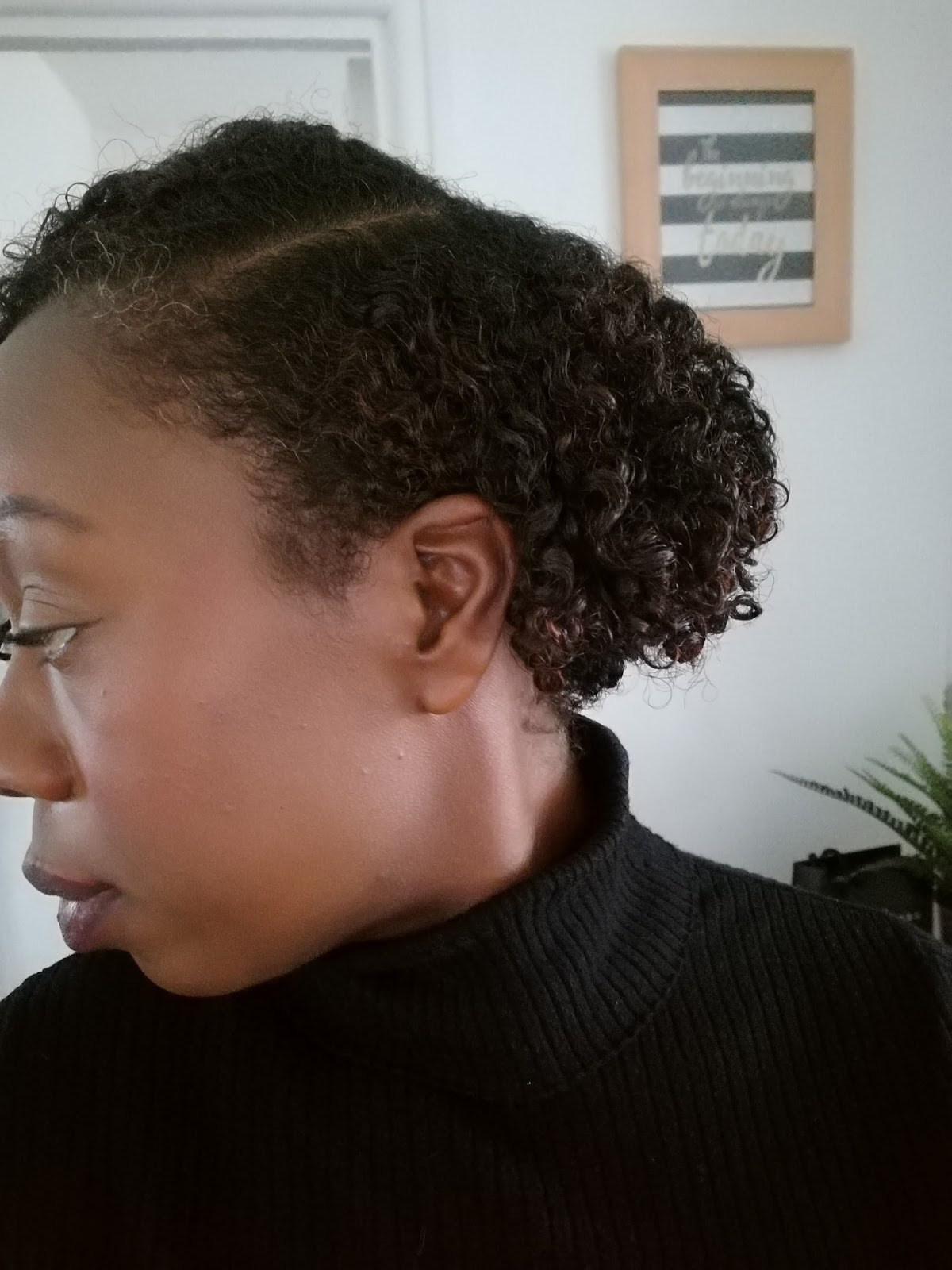 THE BENEFITS OF HENNA HAIR MASK ECO STYLER GEL REVIEW FOR COLOURED the-benefits-of-henna-hair-mask-eco-styler-gel-review-for-coloured