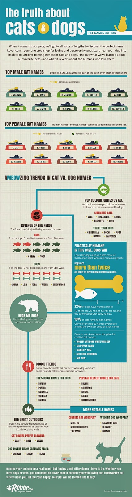 Melissa's Mochas, Mysteries and Meows: The Naming of Cats