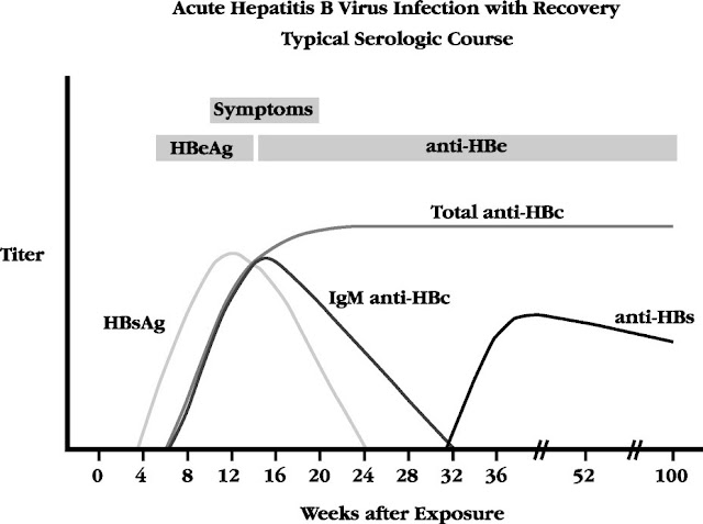 RetroMedTech : การตรวจวินิจฉัยไวรัสตับอักเสบชนิด บี (Hepatitis B)