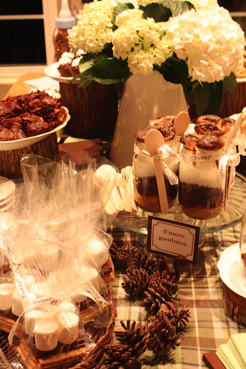 My Sweet Savannah: ~a s'mores themed baby shower~