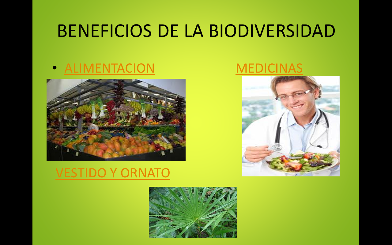 PLANEATIC BIODIVERSIDAD HDT