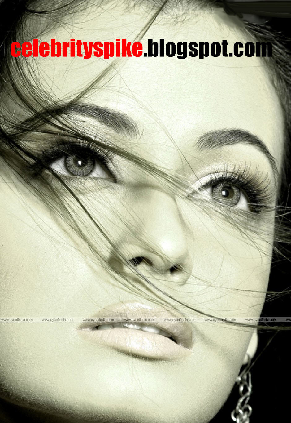 Babes Sexy Xxx Diya Mirza Hot Pictureswallpapers