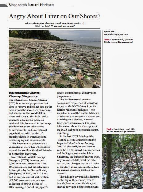 wild shores of singapore: Marine litter featured in a magazine for ...