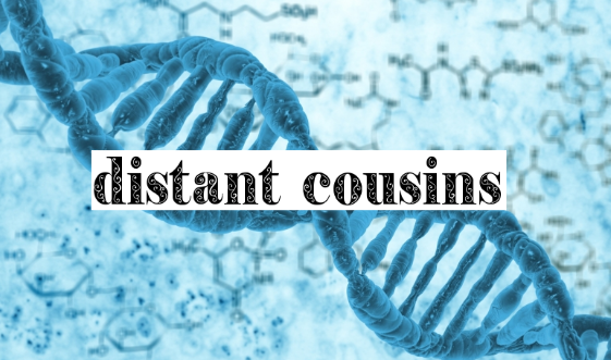 Janet's Family Tree Stuff: DISTANT COUSINS