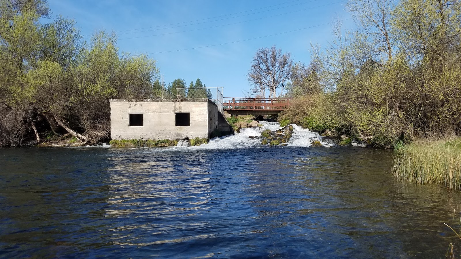 Keep Calm and Fly Fish: First Trip To Baum Lake