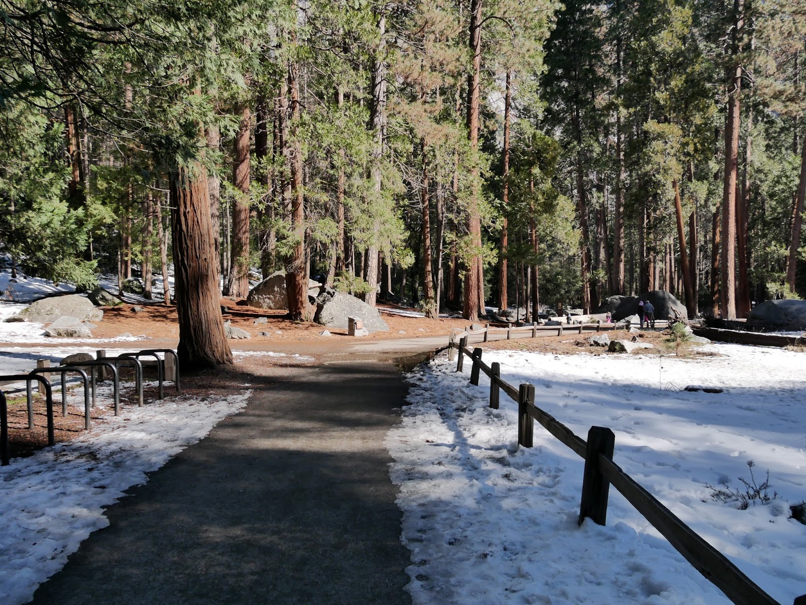 American Travel Journal: Lower Yosemite Fall Loop Trail - Yosemite ...