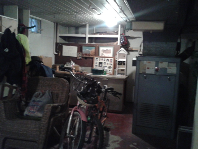 BERMTOPIA: The big bad basement blow-out