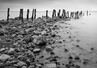 Mid-Western Ghosts and Hauntings: Ghost Of Minnie Quay - Forester Park ...