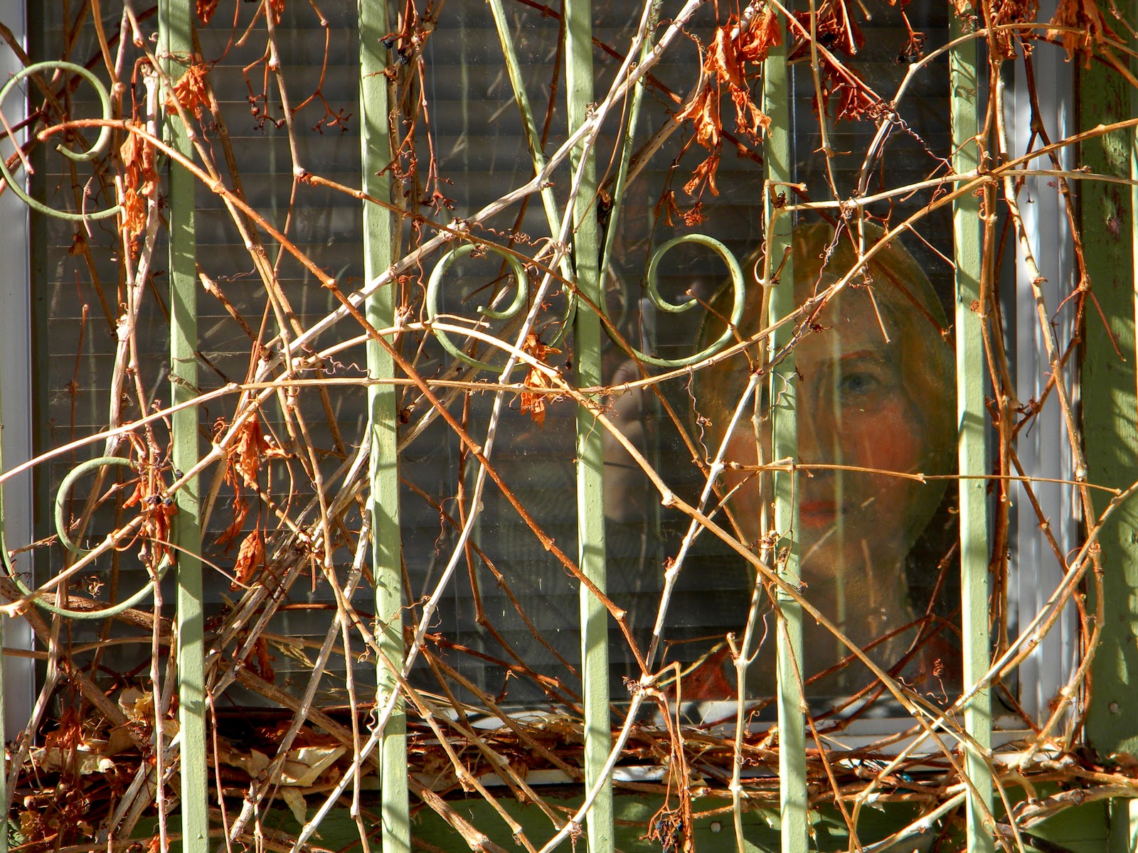 Yarnell: Along Highway 89