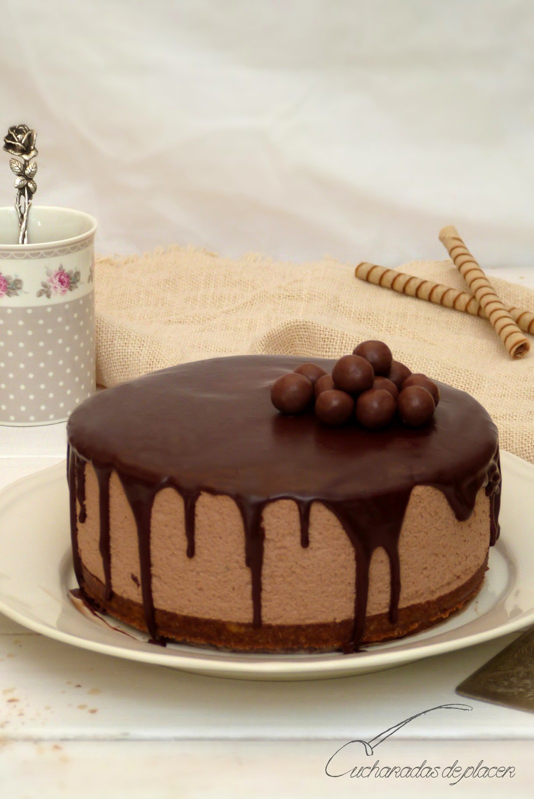 CUCHARADAS DE PLACER: Tarta Mousse (requeterrica!!...) de Nutella