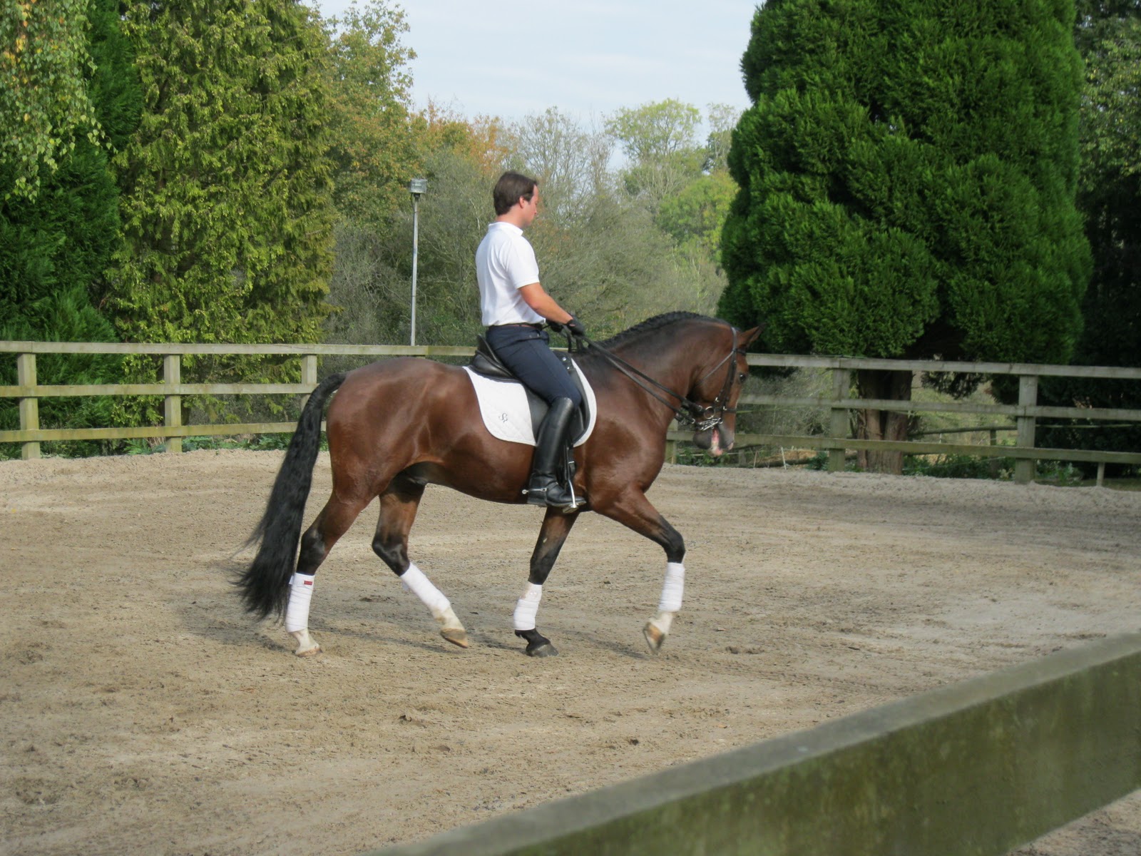 Southey Farm Stables
