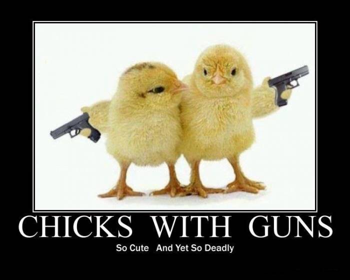 Survival Smarts: Chicks With Guns :) | Baby chickens, Baby chicks ...