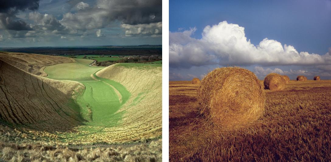 CHARLIE WAITE ~ Todo fotografía