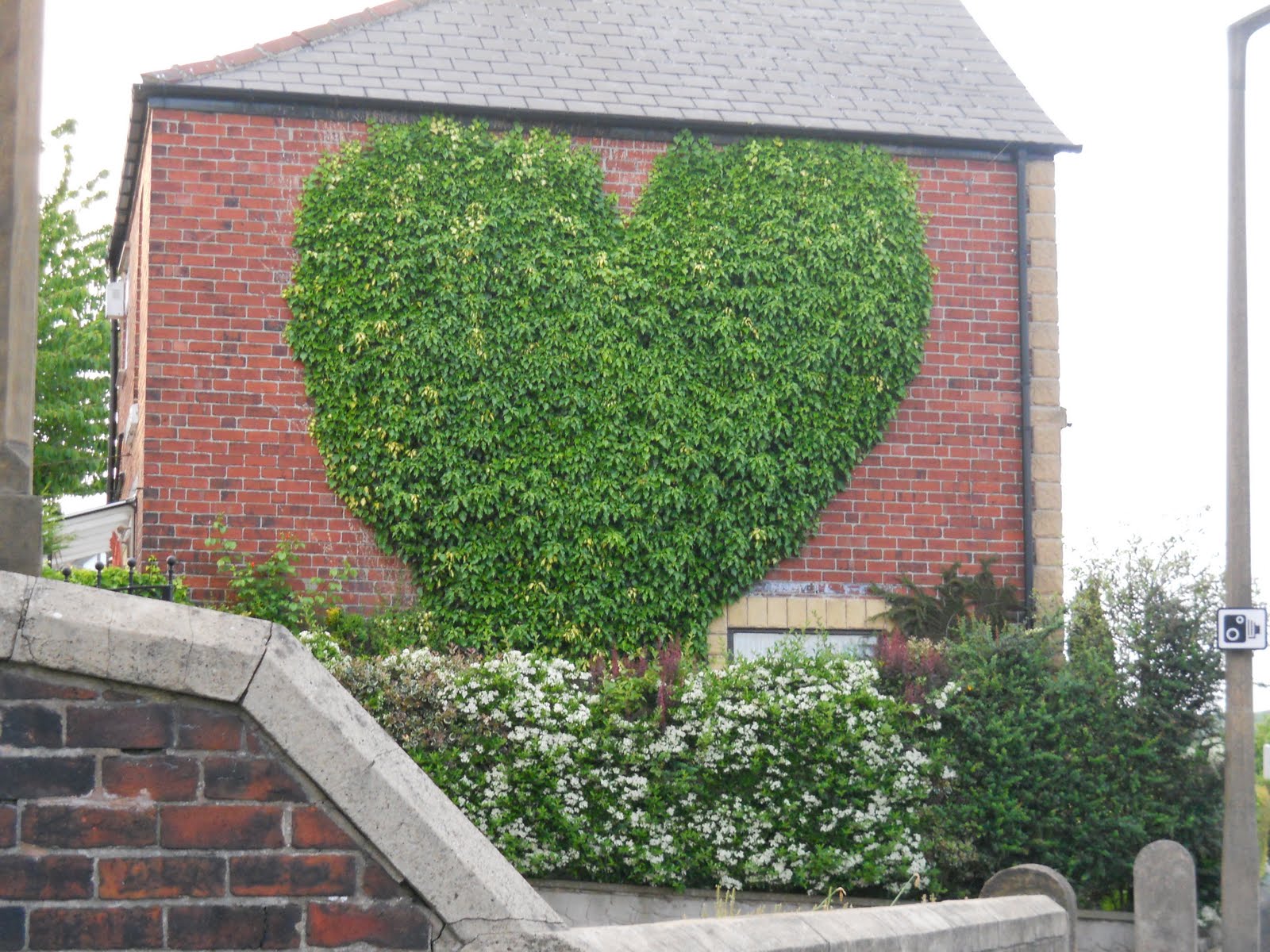 Heart Shaped: A Heartshaped House