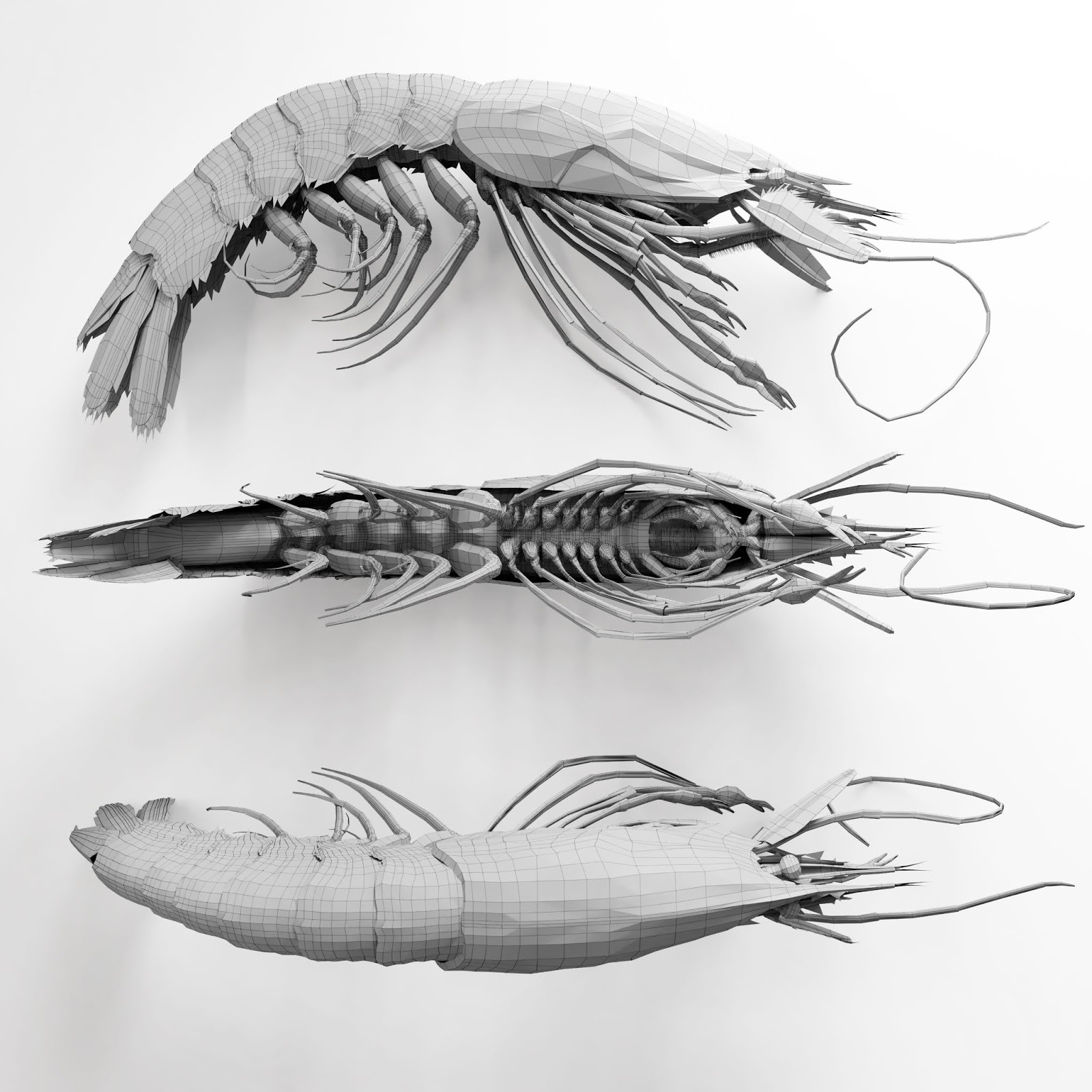 3d design: shrimp dish