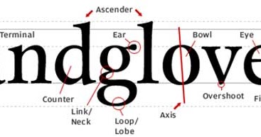 Ava Taylor Blog: Anatomy of Type