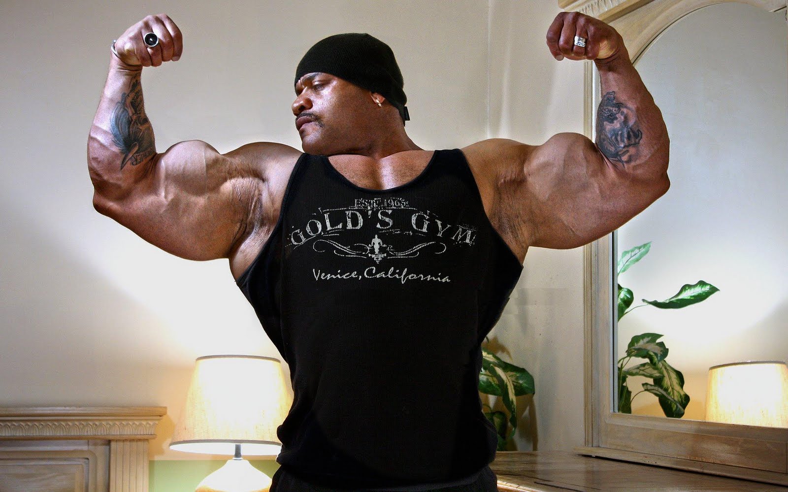 Muscle Lover: American IFBB Pro bodybuilder Will Harris