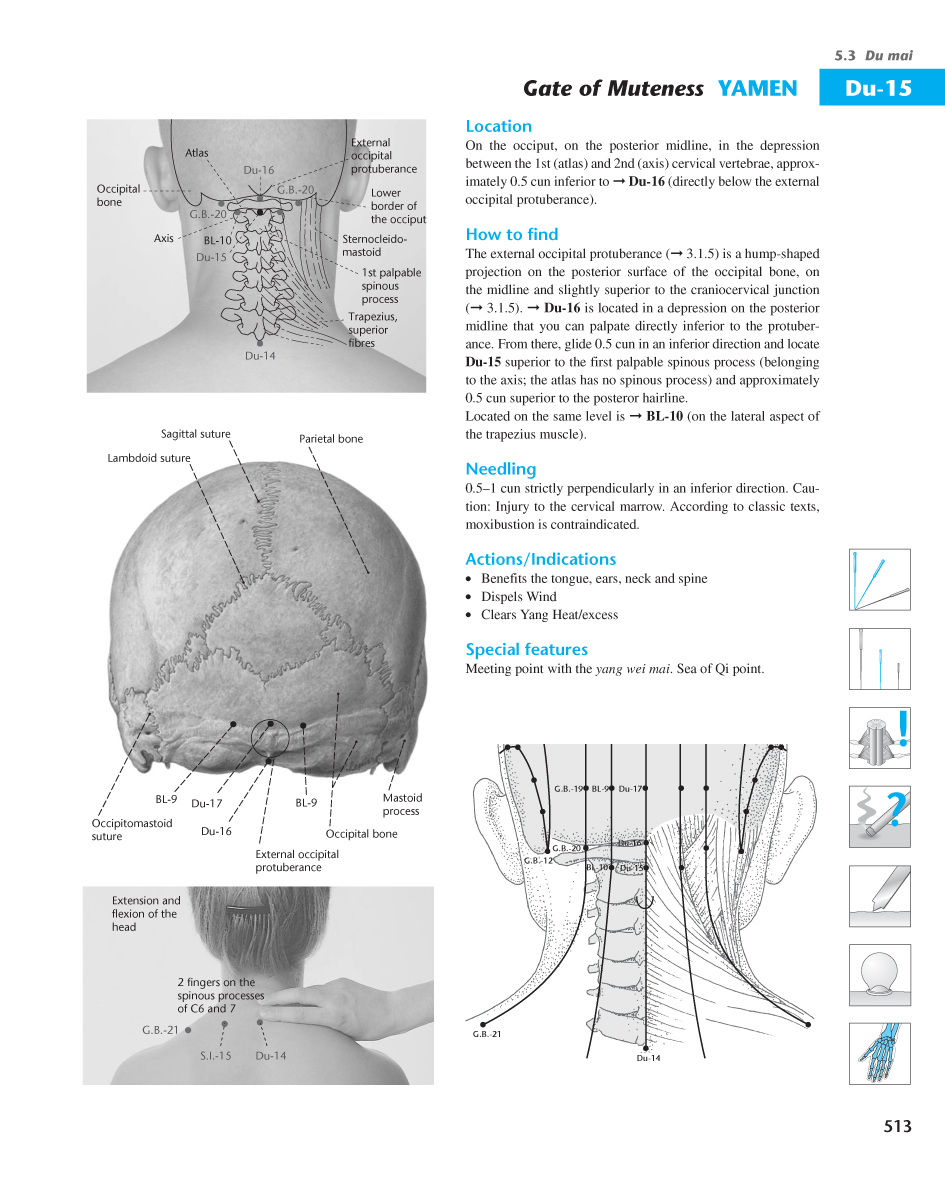 Acupuncture Masters: Acupuncture Points Database - Du Channel