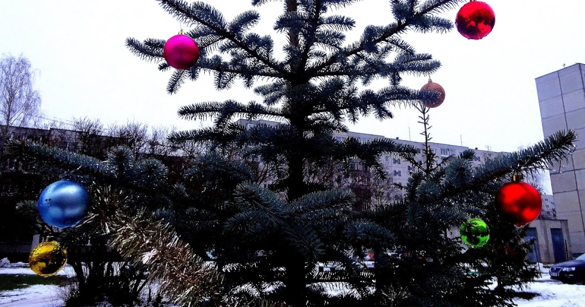 Eilės: Nauji romansai