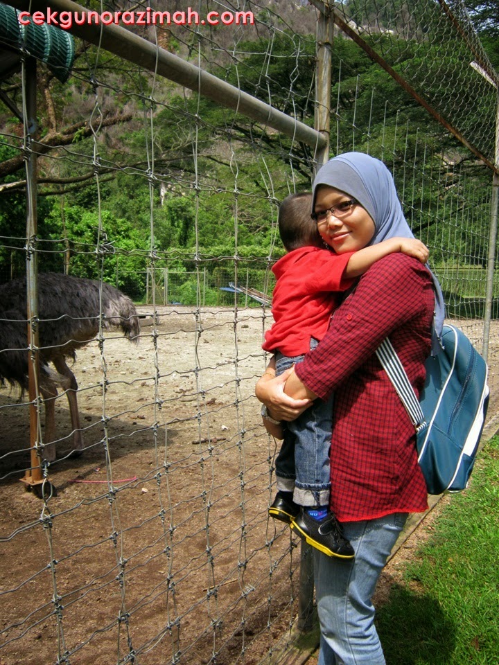 Taman Rekreasi Gunung Lang ~ Cikgu Norazimah