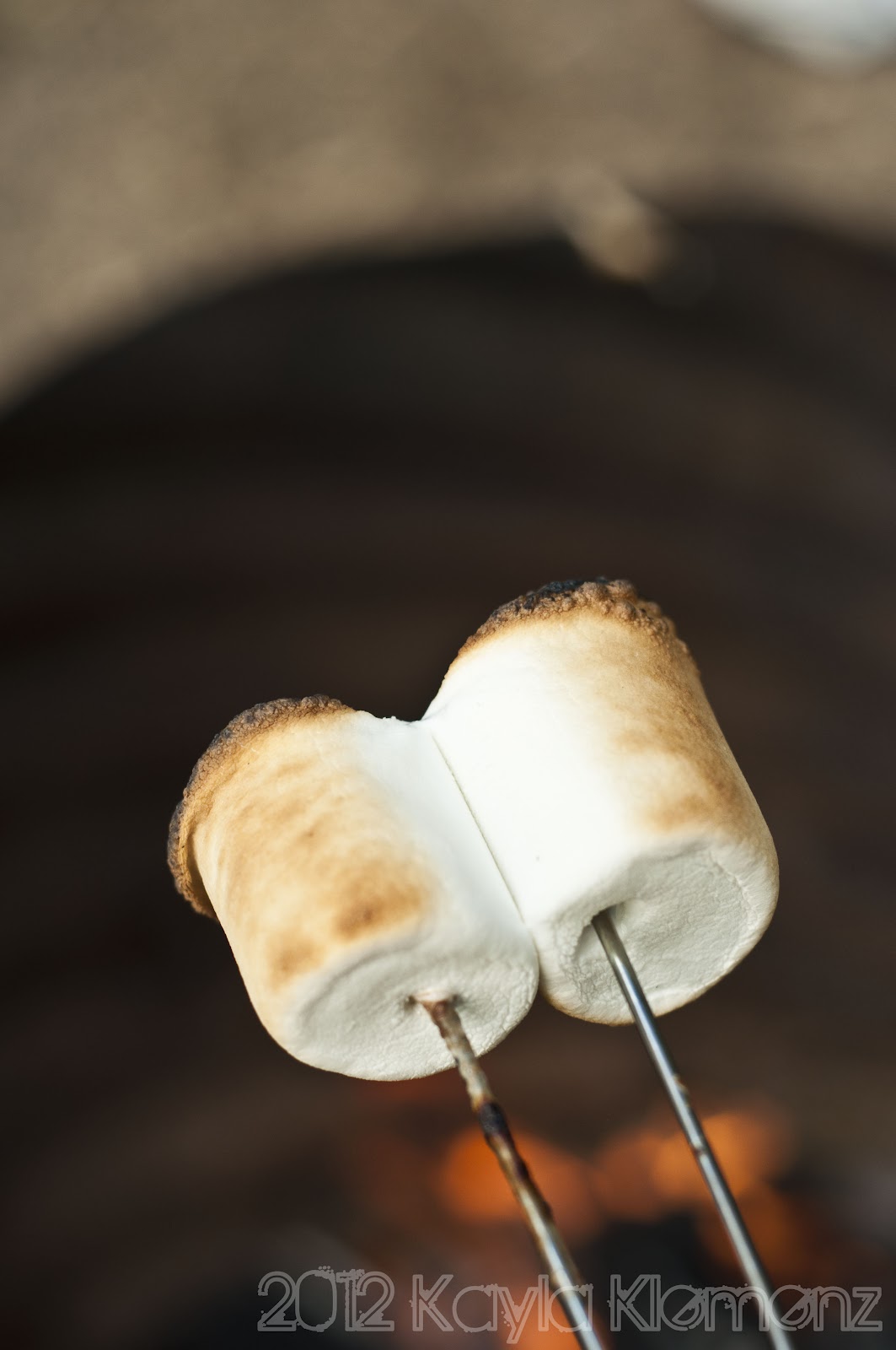 Art Speaks Louder Than Words...: The Best Way to Roast Marshmallows!