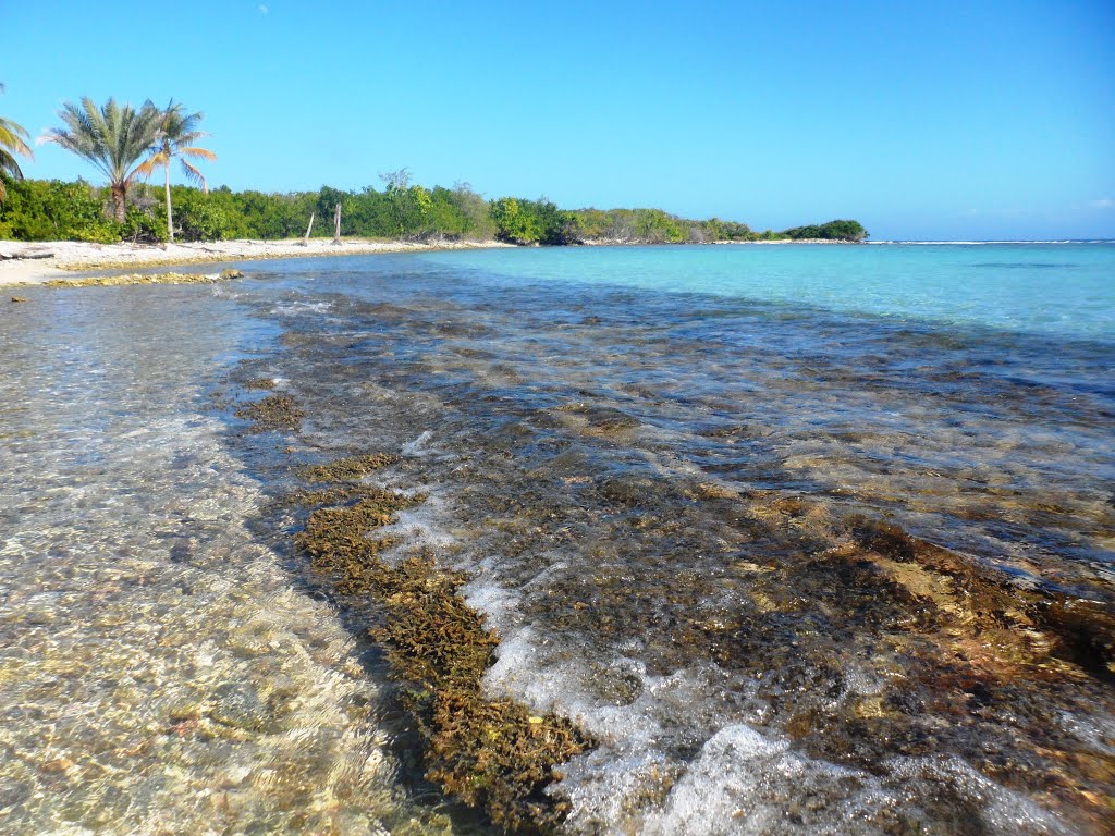 Hacer Turismo en Morrocoy: Las Aguas Turquesas de Boca Seca - Turismo
