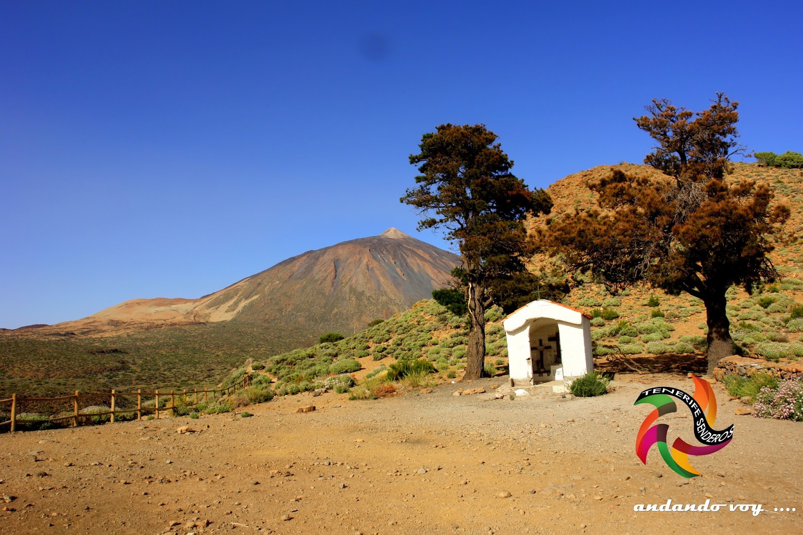 Tenerife senderos......: junio 2015