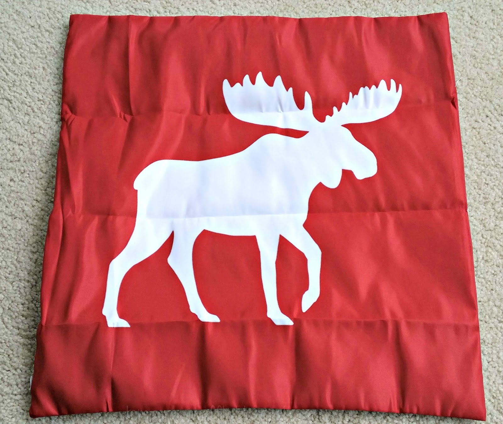 Temporary Waffle: Pillows For My Couch