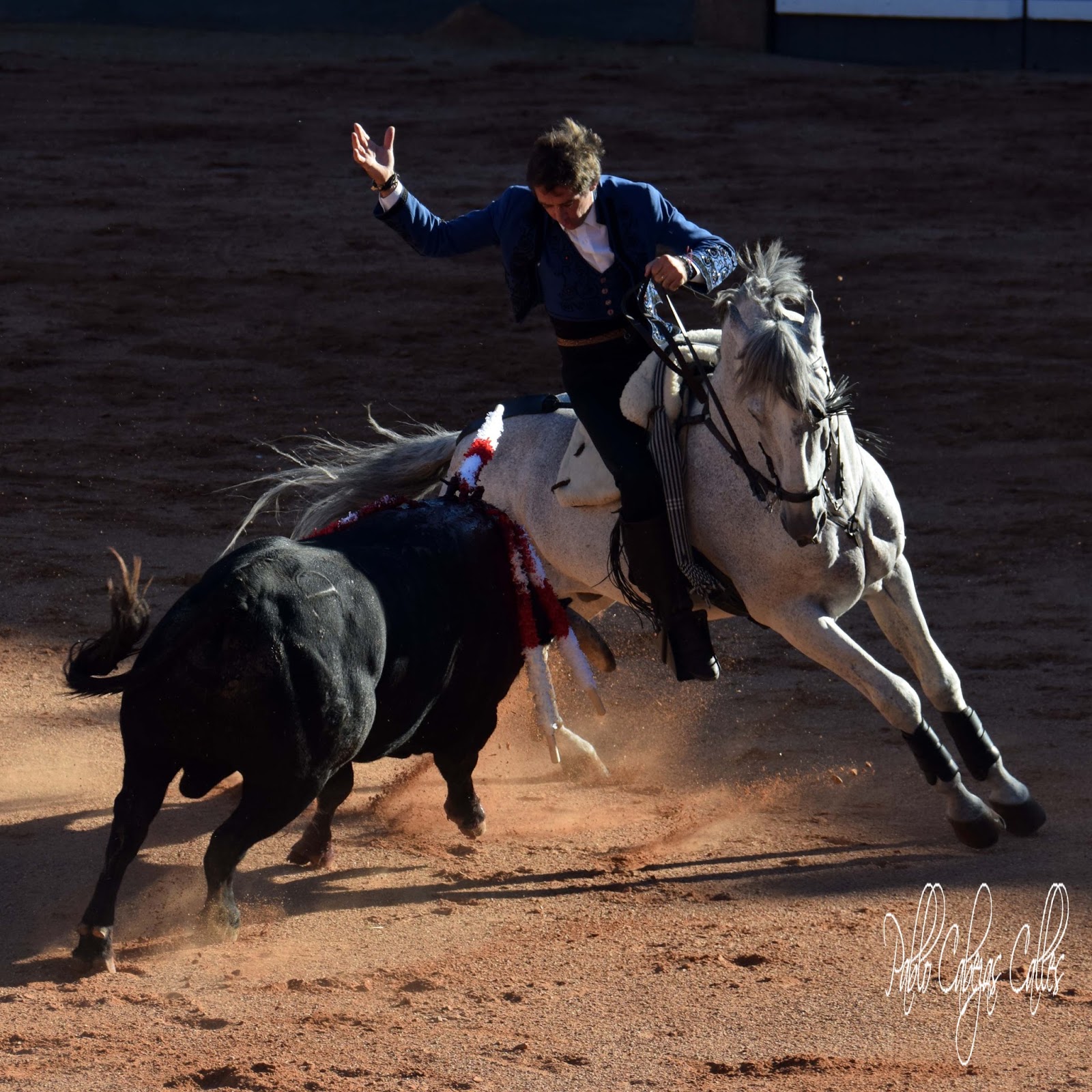 ArribesTour.PueblosTaurinos: Corrida de rejoneo en Salamanca.
