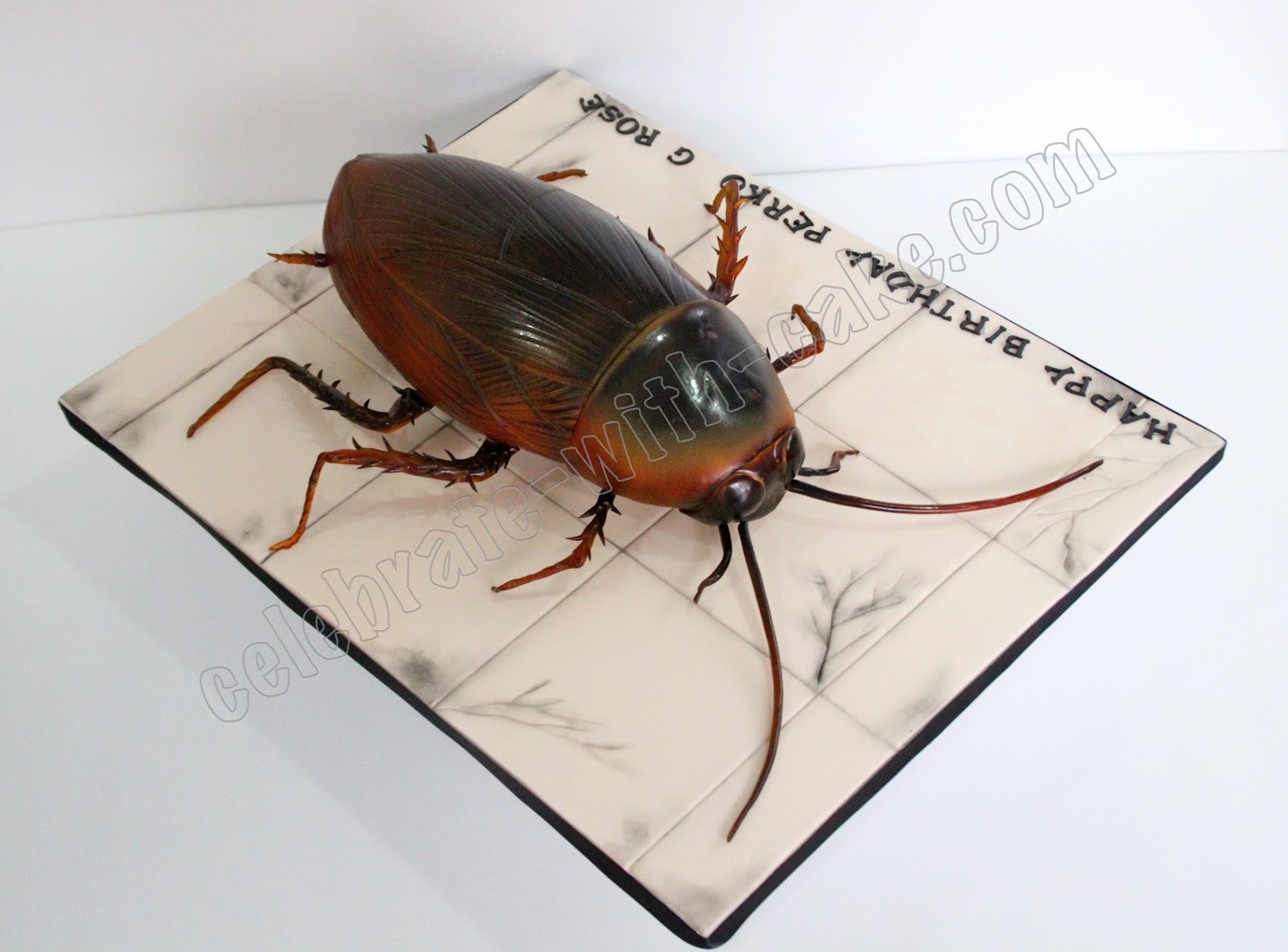 Sculpted Cockroach Cake