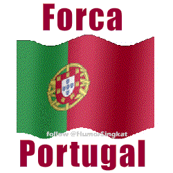 Forca Portugal EURO 2012 Flag Animated | Display Picture BBM