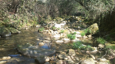 TRUTAS E SERRAS: Concessões de Pesca Desportiva › Viana do Castelo Rio ...