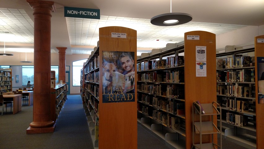 Walkabout With Wheels Blog: Exploring the Harlingen Public Library in ...