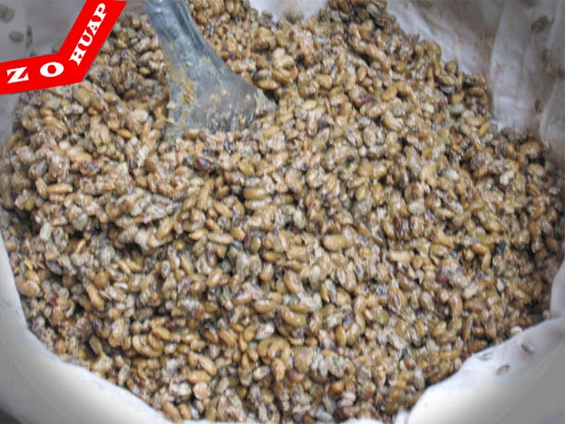 Bekang Um Dan ~ Zo Huap