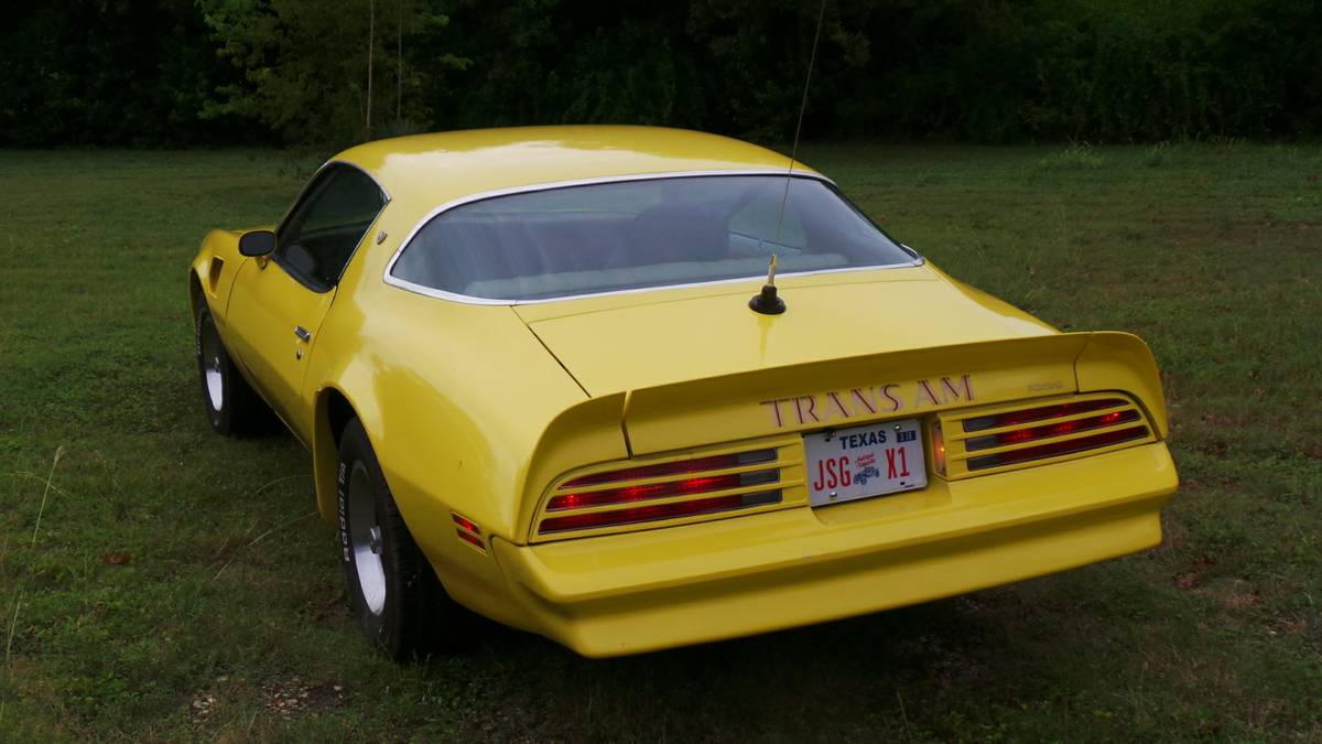 Big Bird: 1977 Pontiac Firebird TransAm - DailyTurismo