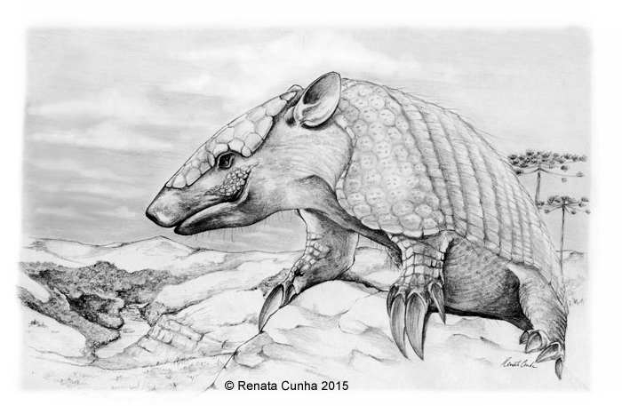 Cingulata - Brazilian PaleoArt