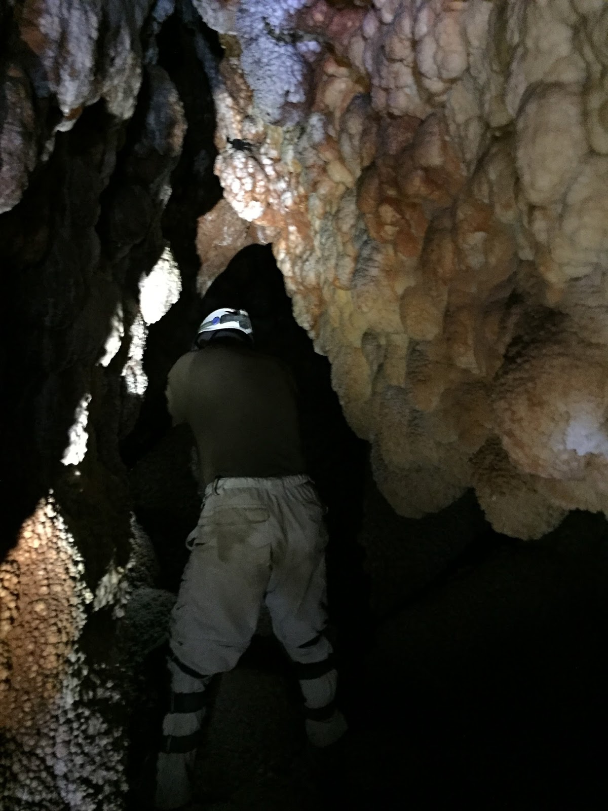 The Kruse Chronicles Continue in Cocoa, Florida: Caving again ...