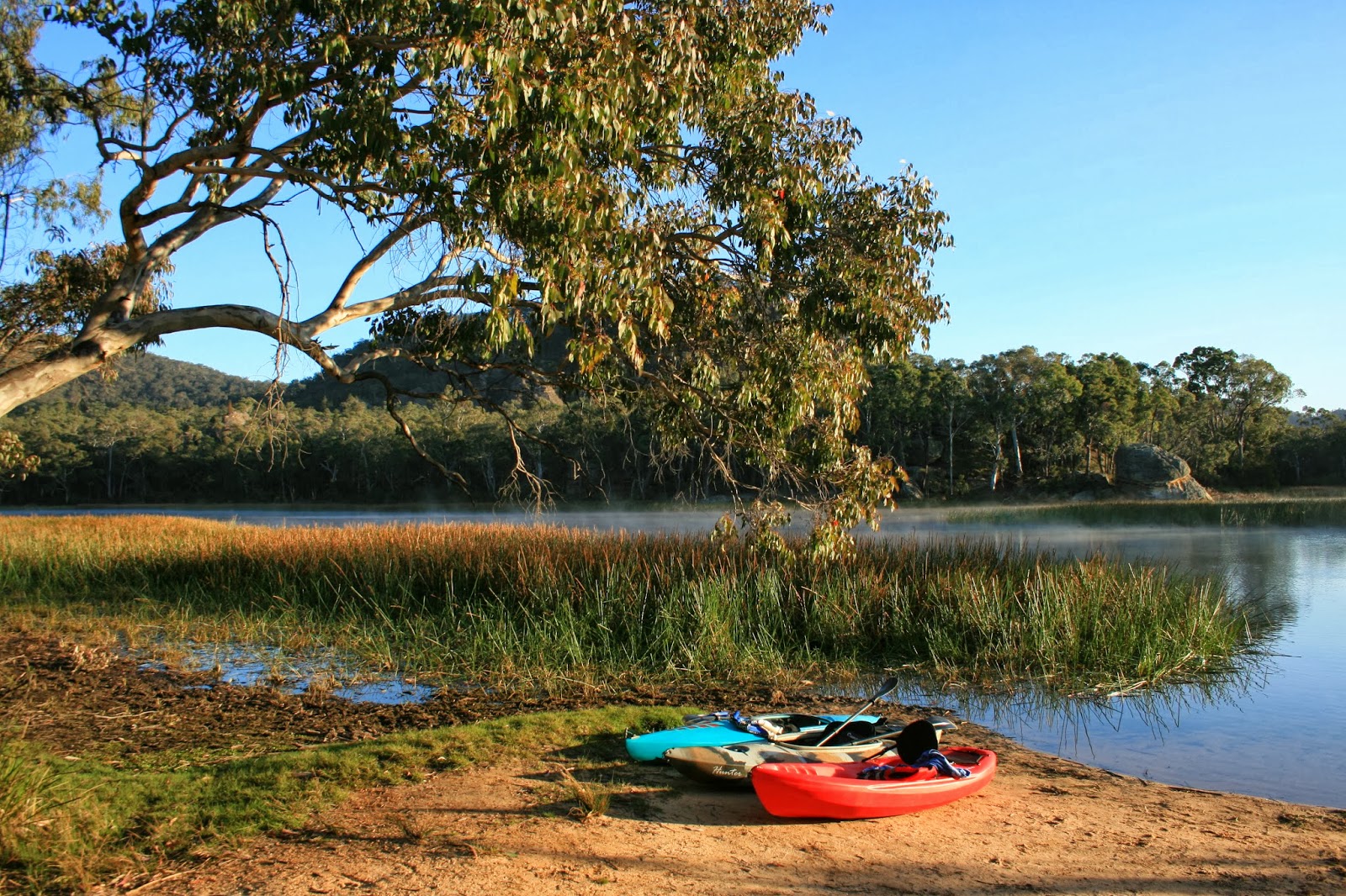 kensbigbackyard: Go camp in a swamp
