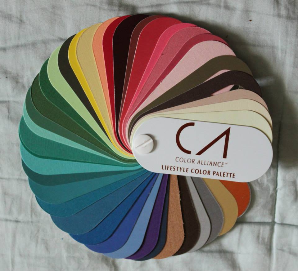 Patrician Winter: Color Alliance Sample Palettes