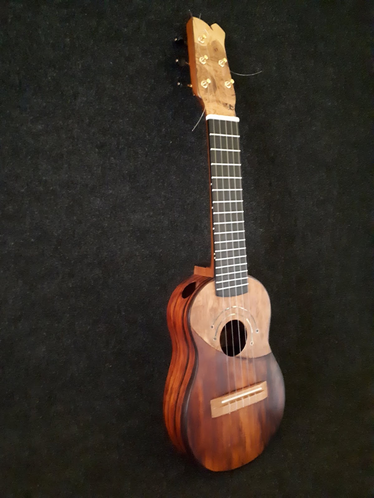 David Sánchez-Luthier: Timples