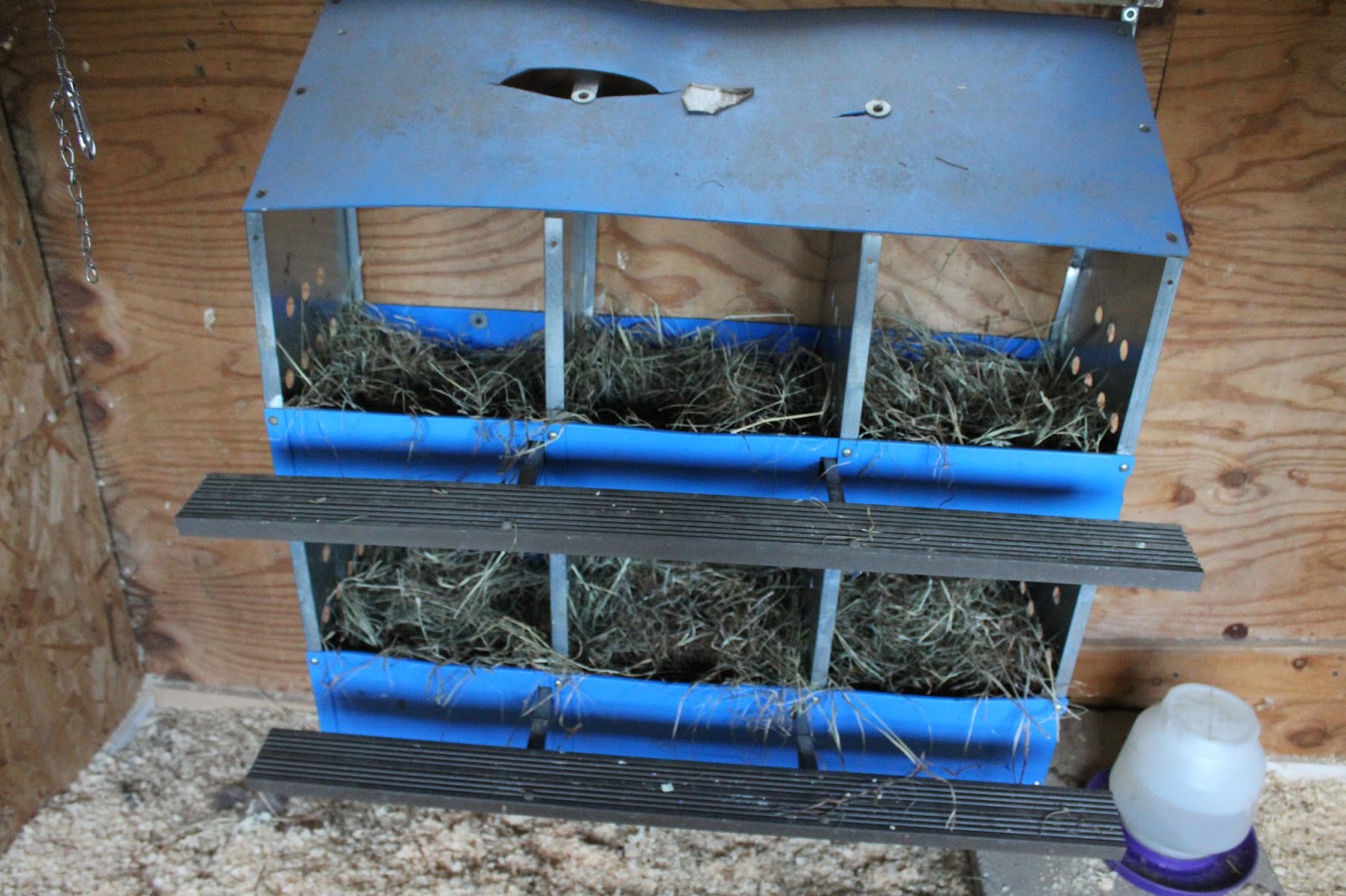 10 Chicken Coop Necessities