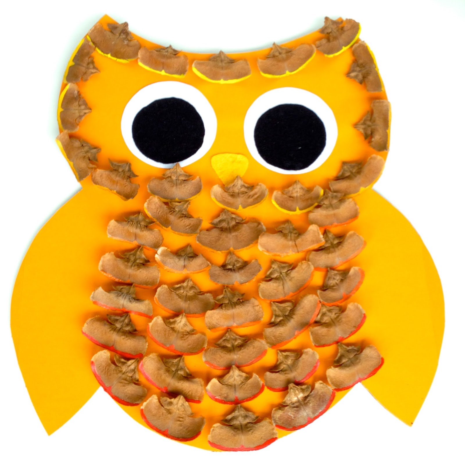 Hibou en carton / Cardboard owl