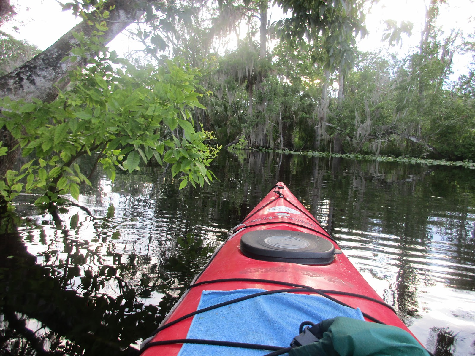 Dave's Yak Tales: Wekiva River