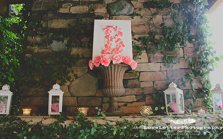 Fawn Over Baby: Rustic Pink Baby Shower