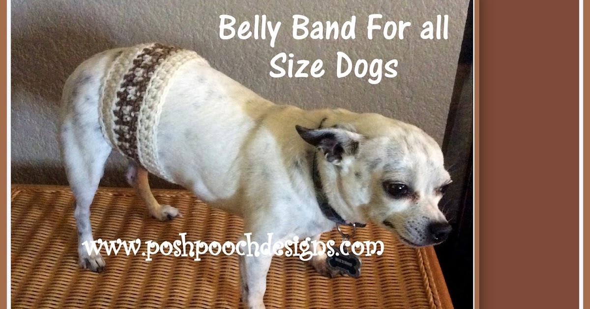 Posh Pooch Designs : Belly Band For All Size Dogs Crochet Pattern ...
