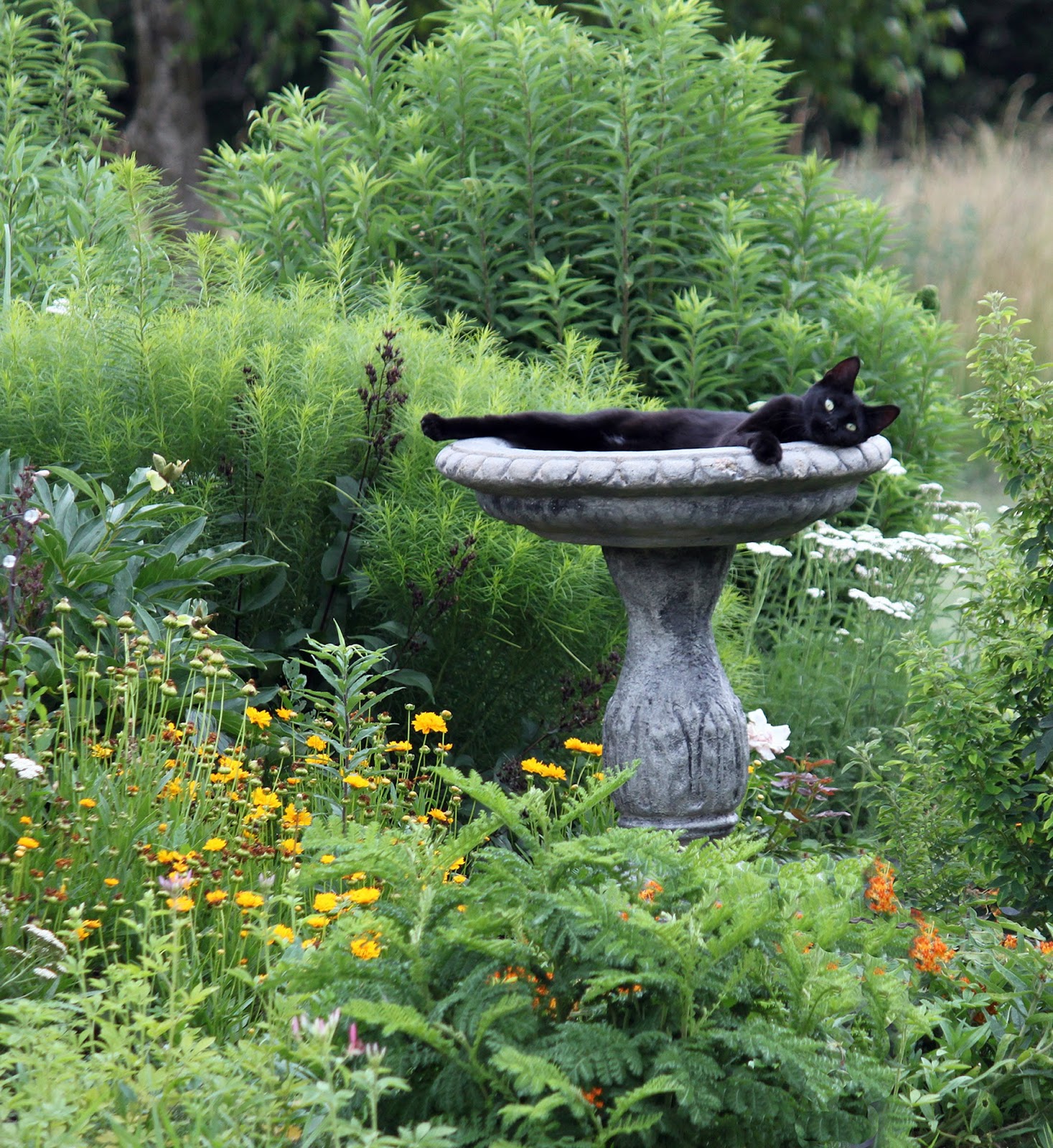 Gypsy Deva: G is for gardening