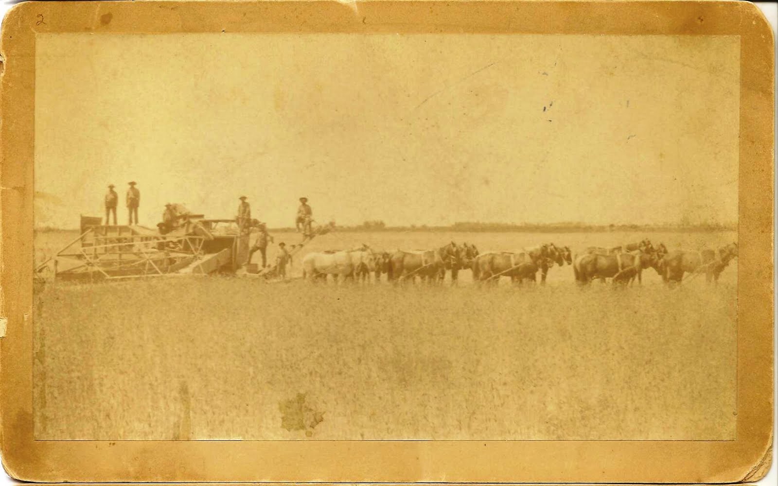 Farmer on a Mission: Early 1900's Kansas Wheat Harvest