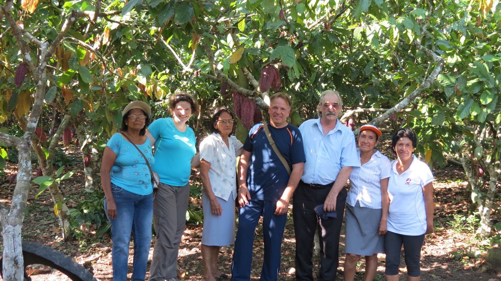 Uniterra - Leave For Change - Peru: Saposoa - Warmitech - Cocoa Plantation