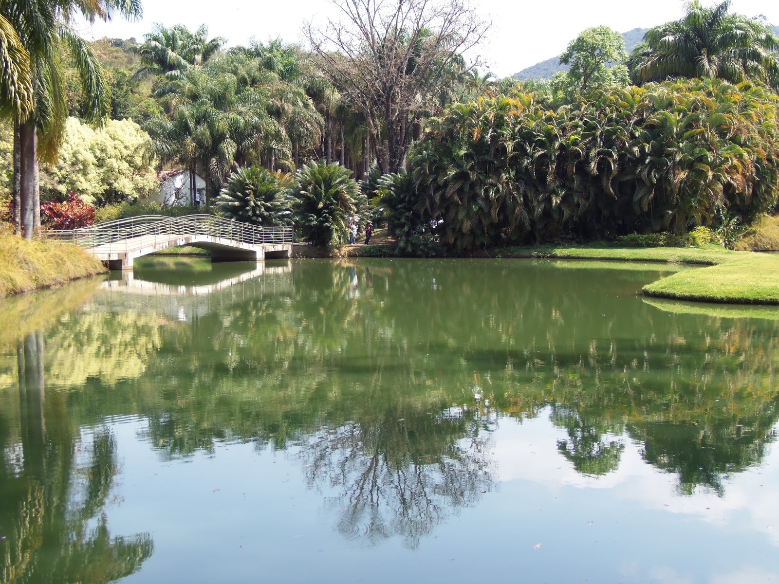 Inhotim: O maior museu de arte ao ar livre da América Latina | Explore ...