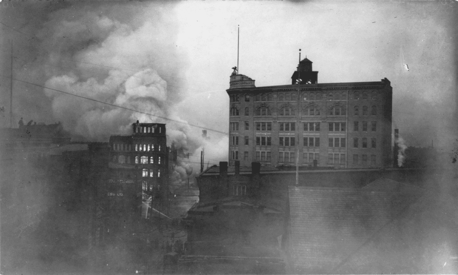 Tangled Roots and Trees: Great Baltimore Fire of 1904
